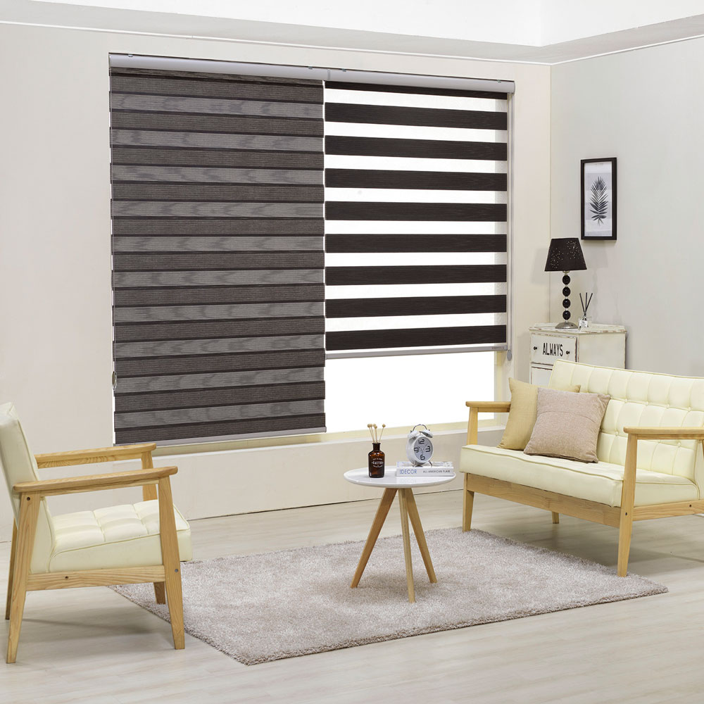 Zebra BlindsCombi Delos Zebra Shade | Top Quality Window Blinds | GTA